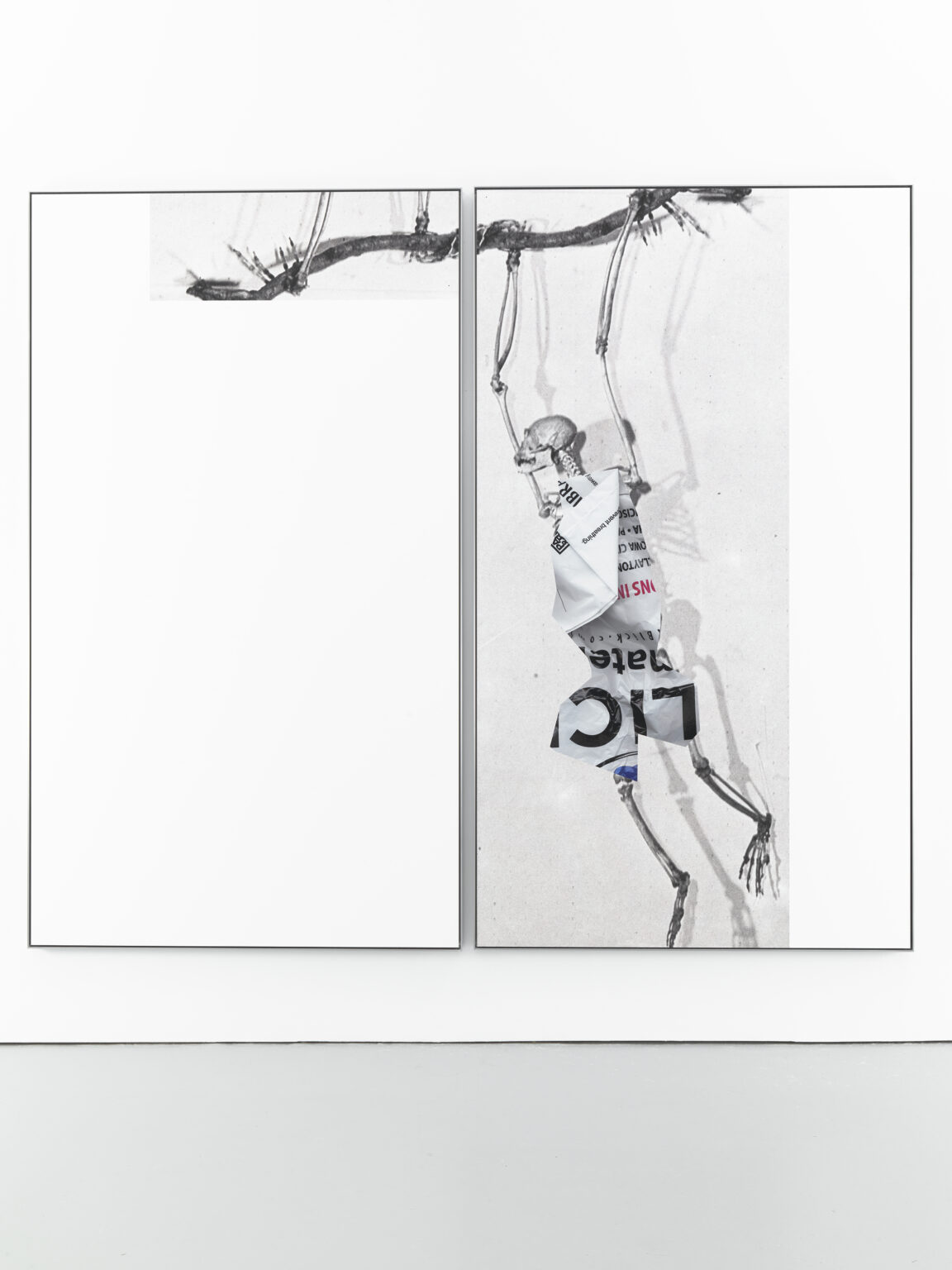 Michael Riedel – GABRIELE SENN GALERIE