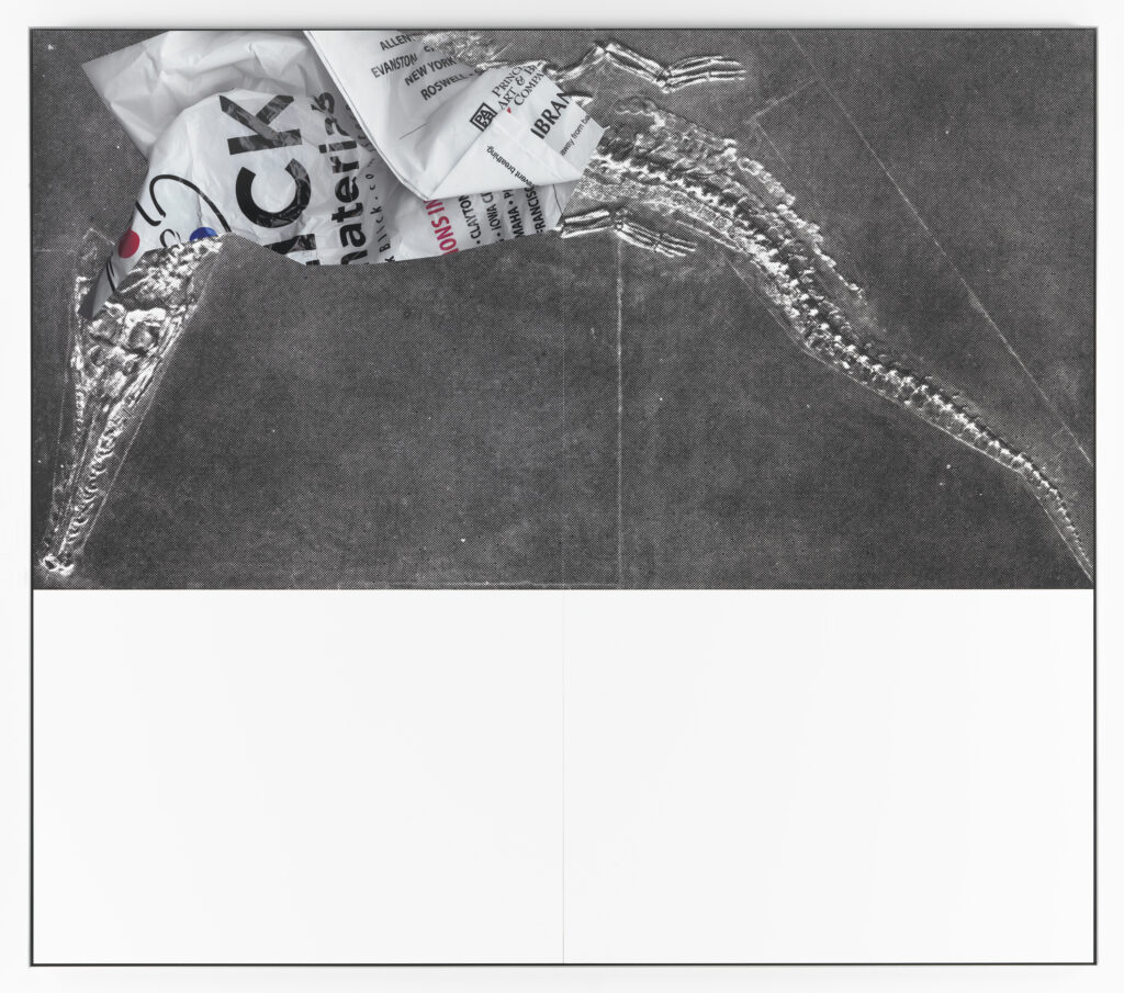 MICHAEL RIEDEL – Gabriele Senn Galerie